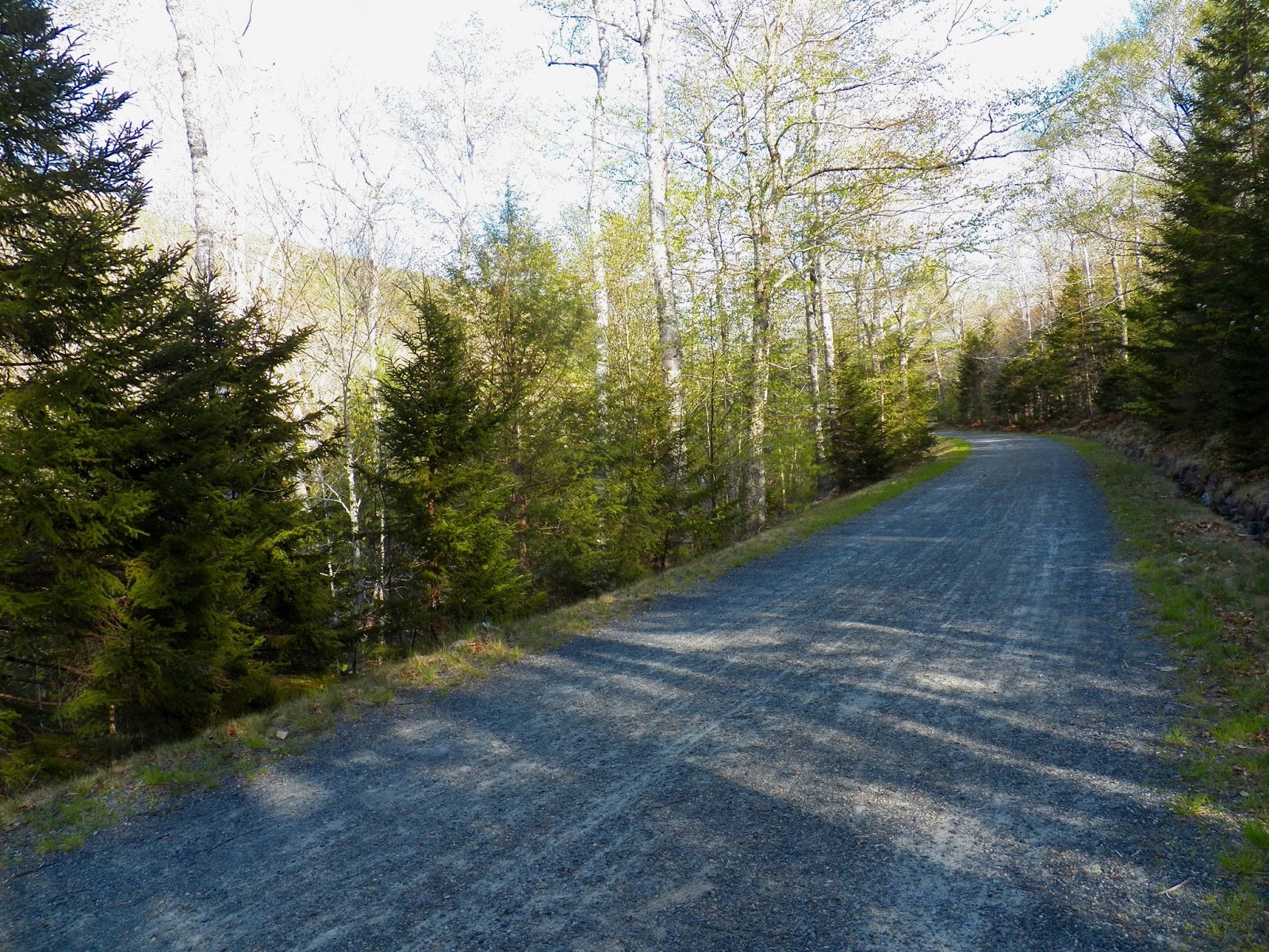 EXPLORING IN AND AROUND ACADIA NATIONAL PARK: THE WATERS OF BUBBLE POND