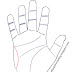 The Line Of Intuition Palmistry ~ INDIAN PALM READING | HAST REKHA GYAN