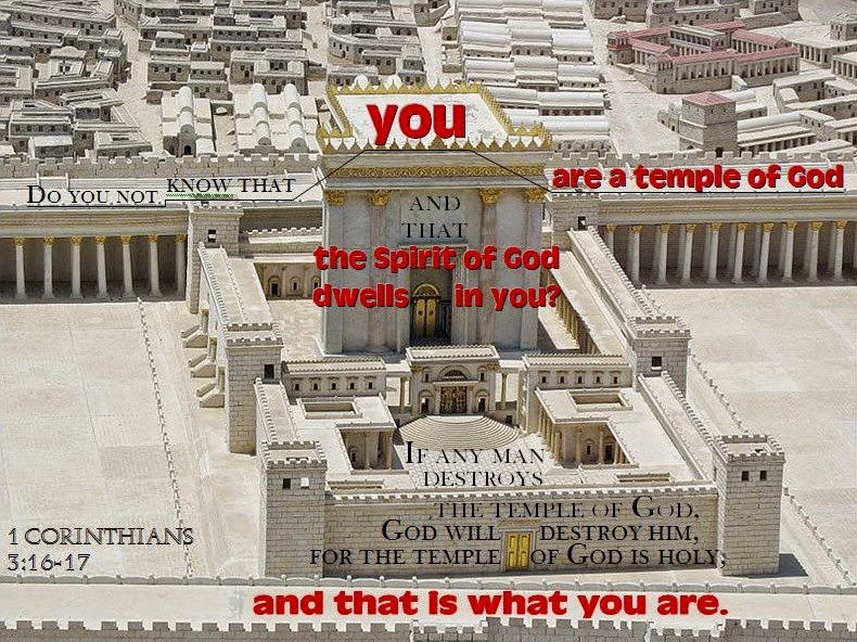 The Verse Of the Week