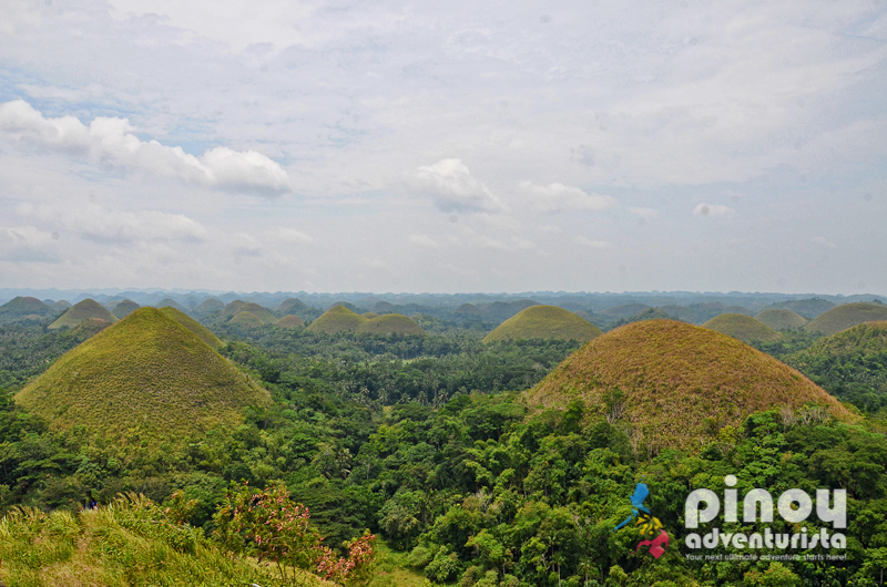 BOHOL ITINERARY: 20 Best BOHOL TOURIST SPOTS and Things to Do (Travel ...