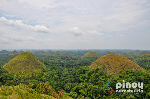 BOHOL ITINERARY: 20 Best BOHOL TOURIST SPOTS and Things to Do (Travel ...