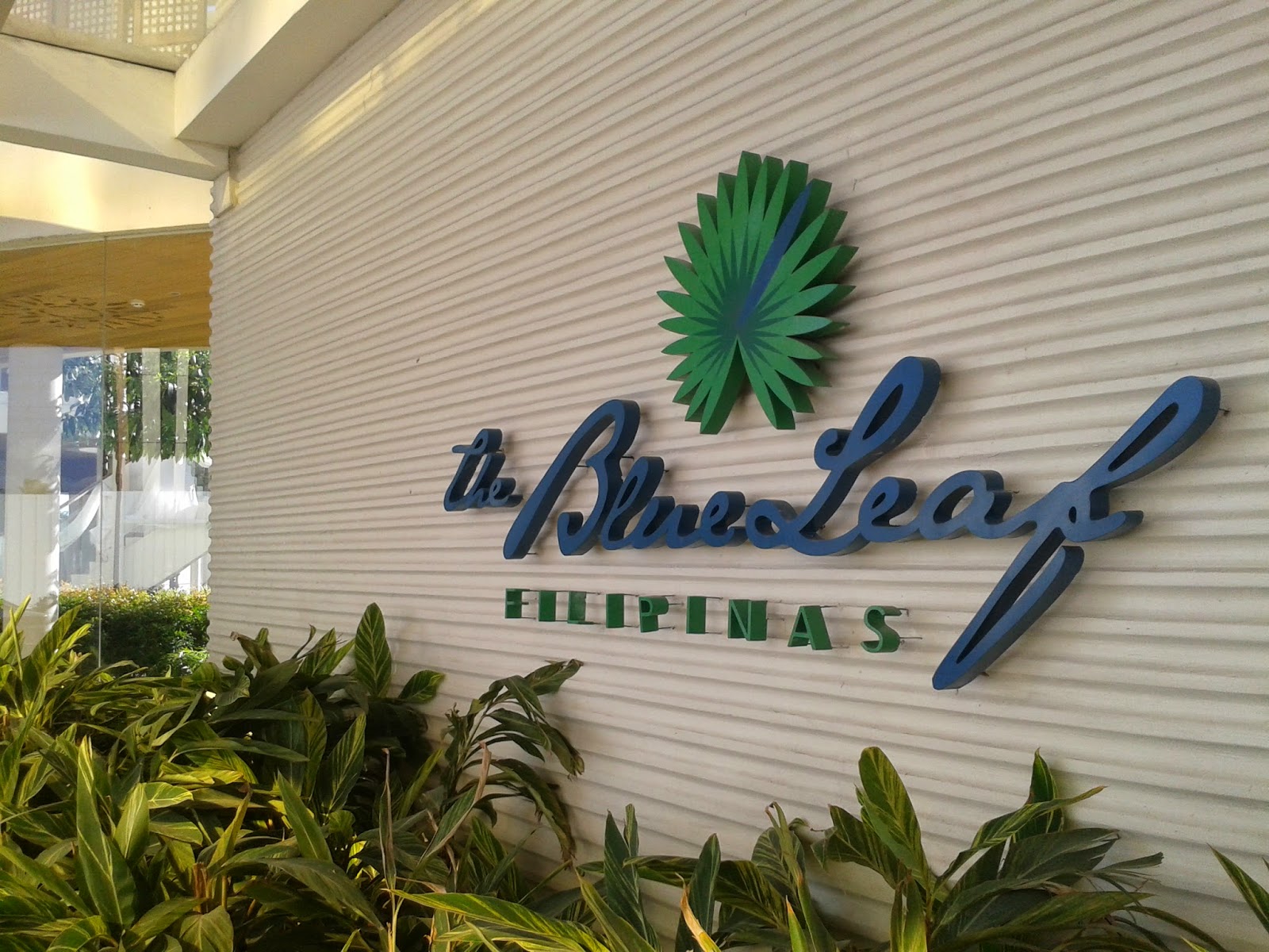 Debut Themes and Ideas: The Blue Leaf, A Nice Place for Debut