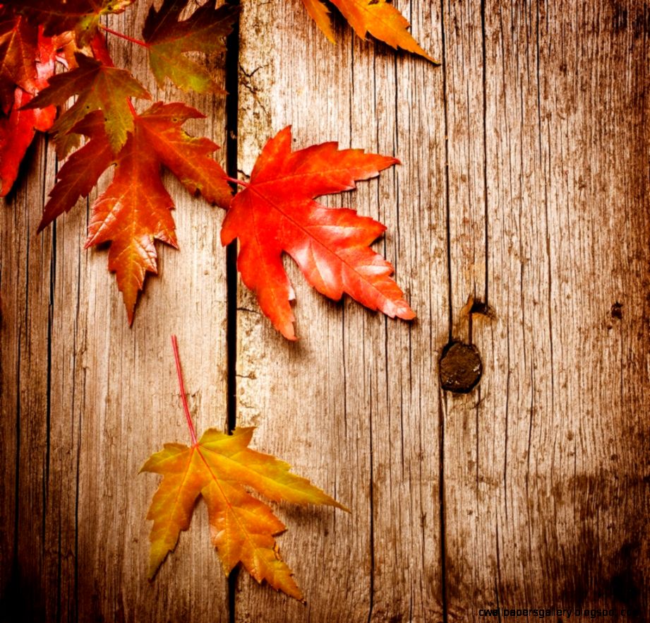 Fall Leaves Facebook Covers | Wallpapers Gallery