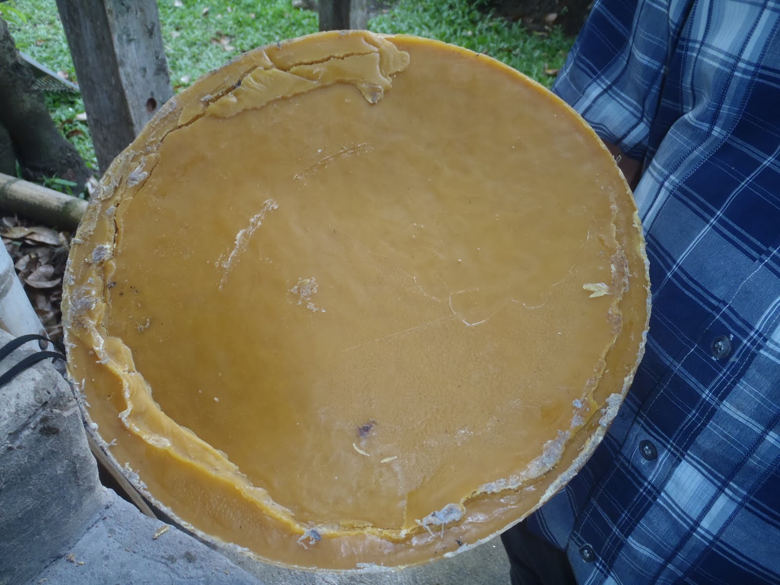 APISRED: El proceso para producir cera estampada