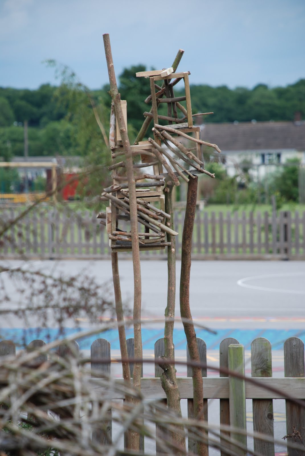 Roger Lee a Sculptors blog: IS THERE ORDER IN NATURE?