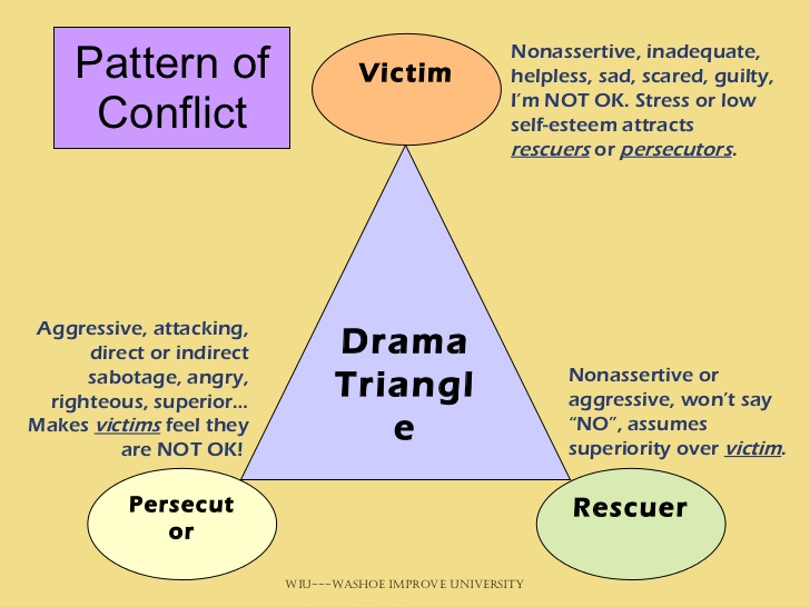 The Project Management Professional: Conflict - Definition, Causes and ...
