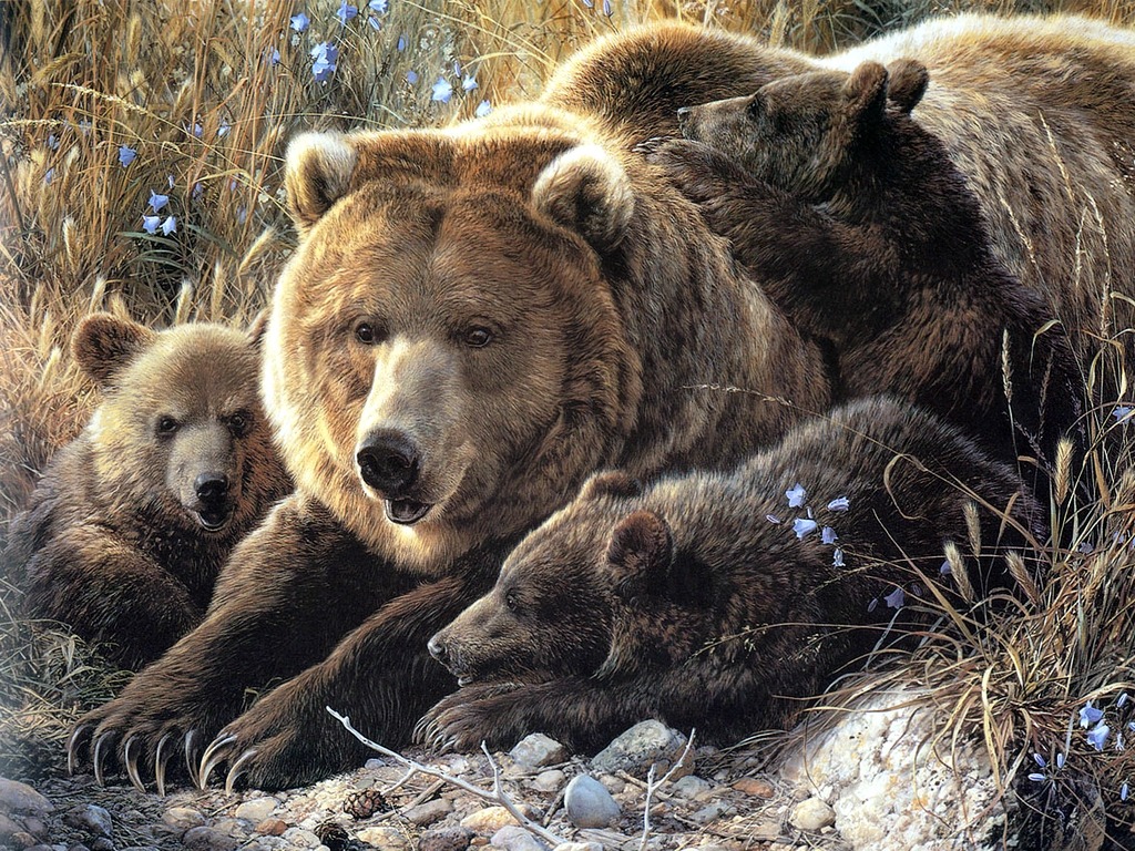 Bears Family | BEAUTIFUL DECENT WALLPAPERS