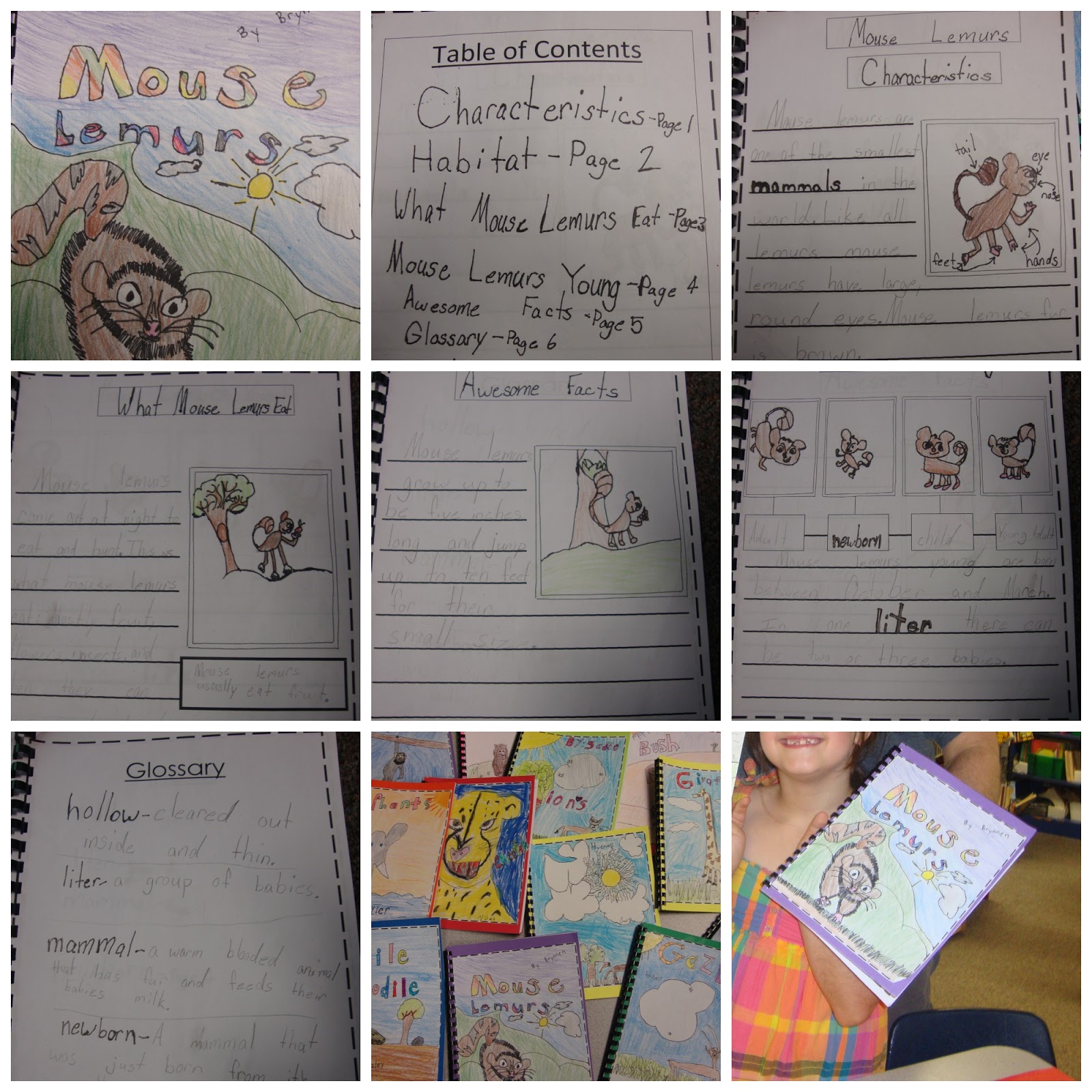 See Jane Teach Multiage Text Features Book see-jane-teach-multiage-text-features-book