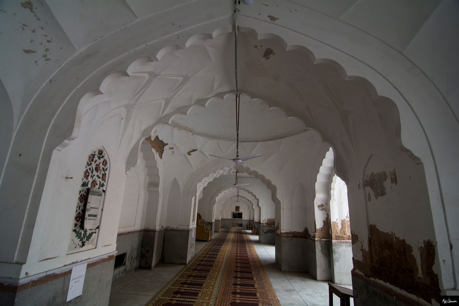 Ali Usman Baig : Shrine of Shah Chiragh and seeking "HOPE"