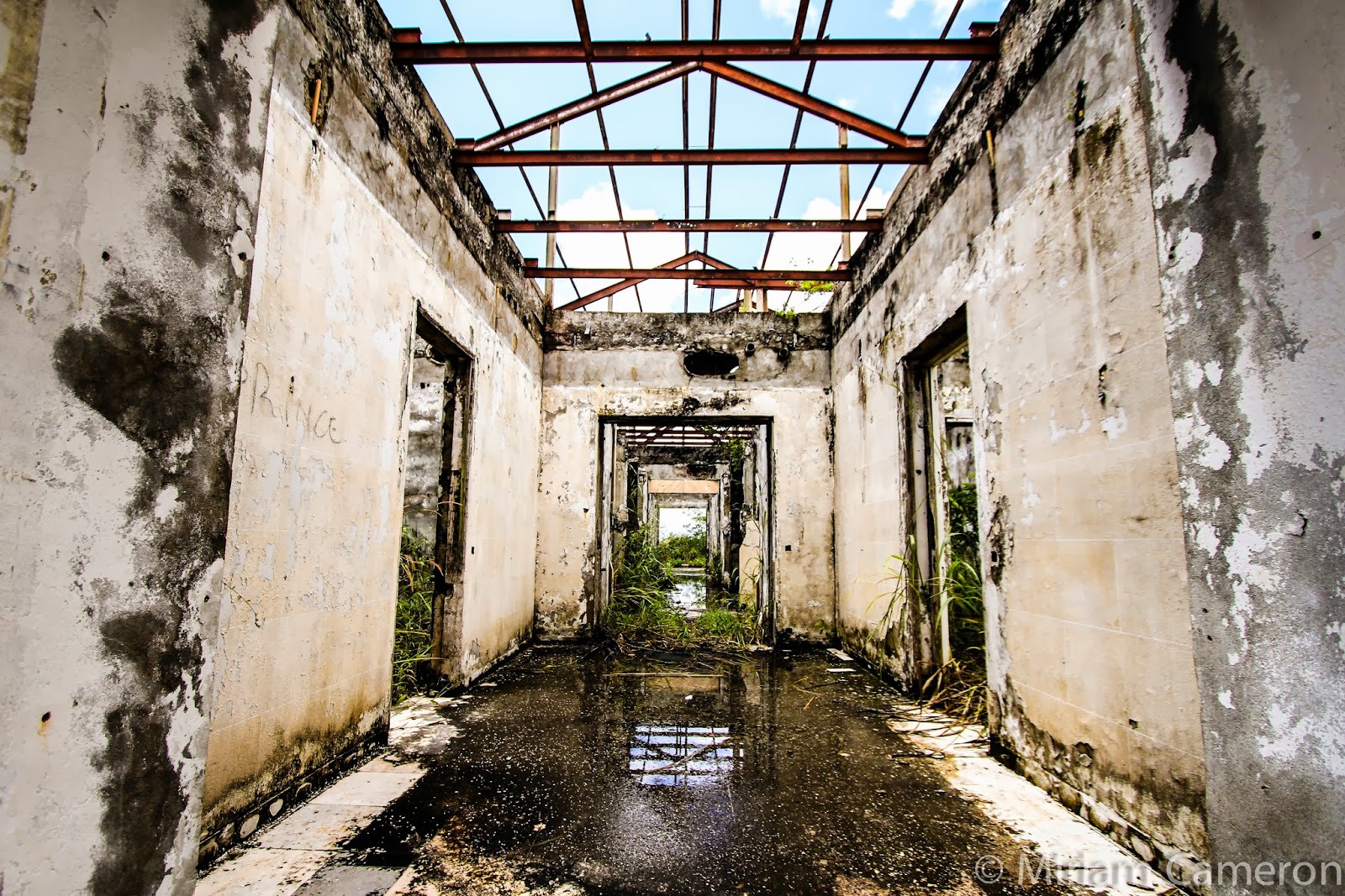 CamVision: Mobutu's Palace