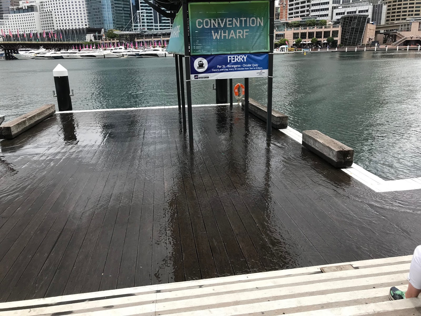 Happy Antipodean: King tides due to “super moon” in early January