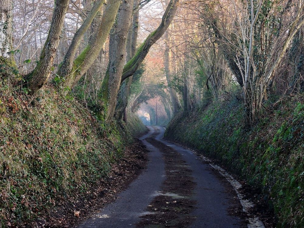 TYWKIWDBI ("Tai-Wiki-Widbee"): Holloways explained