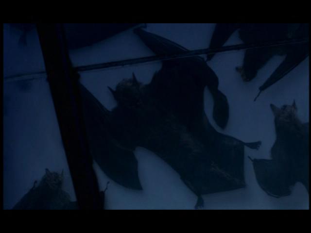 Eternal Sunshine Of The Logical Mind: Basking In The Cesspool Of Filth #20