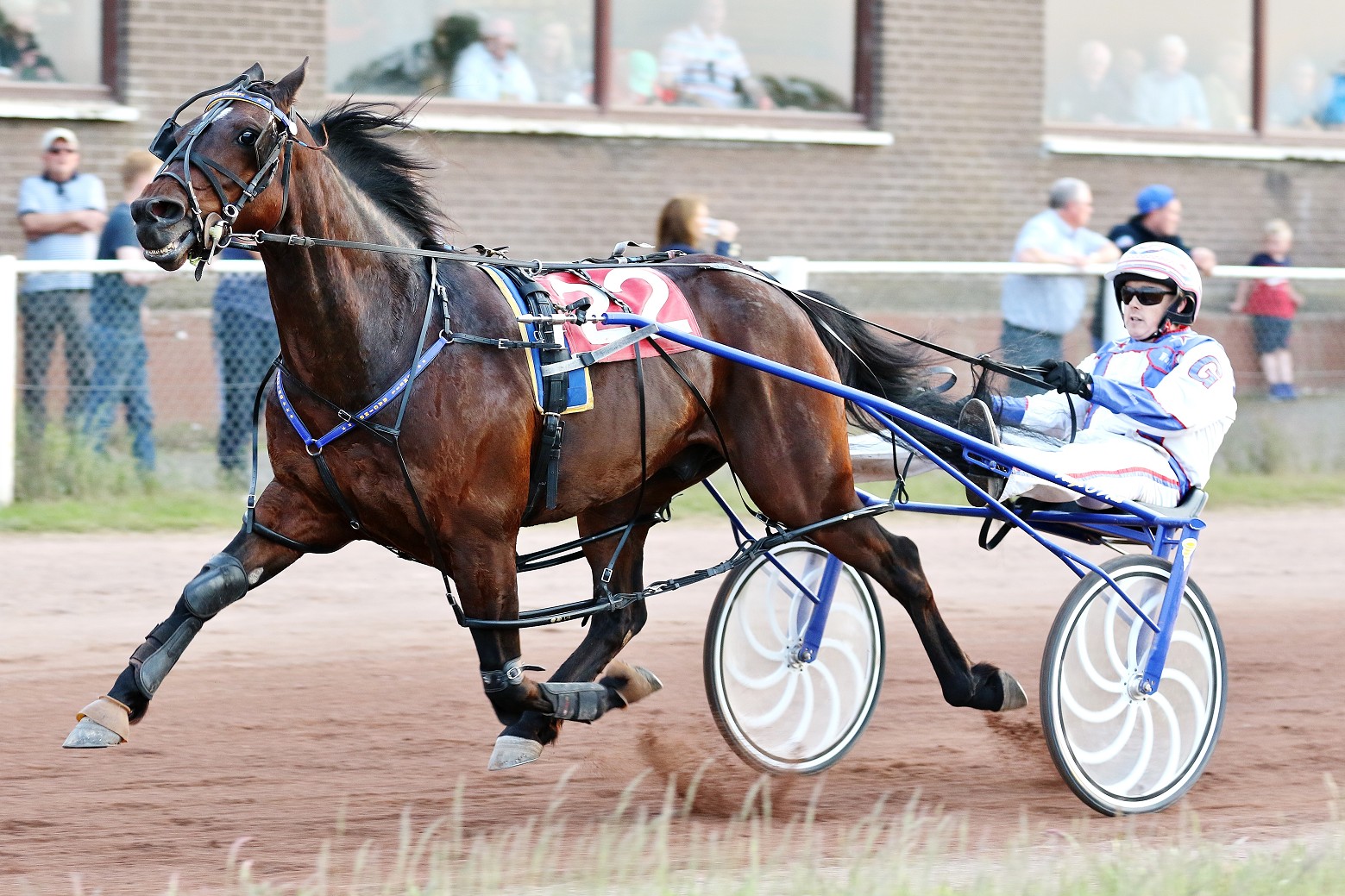 Harness Racing in the UK: 2016 Season: Week 5 - the feel good factor