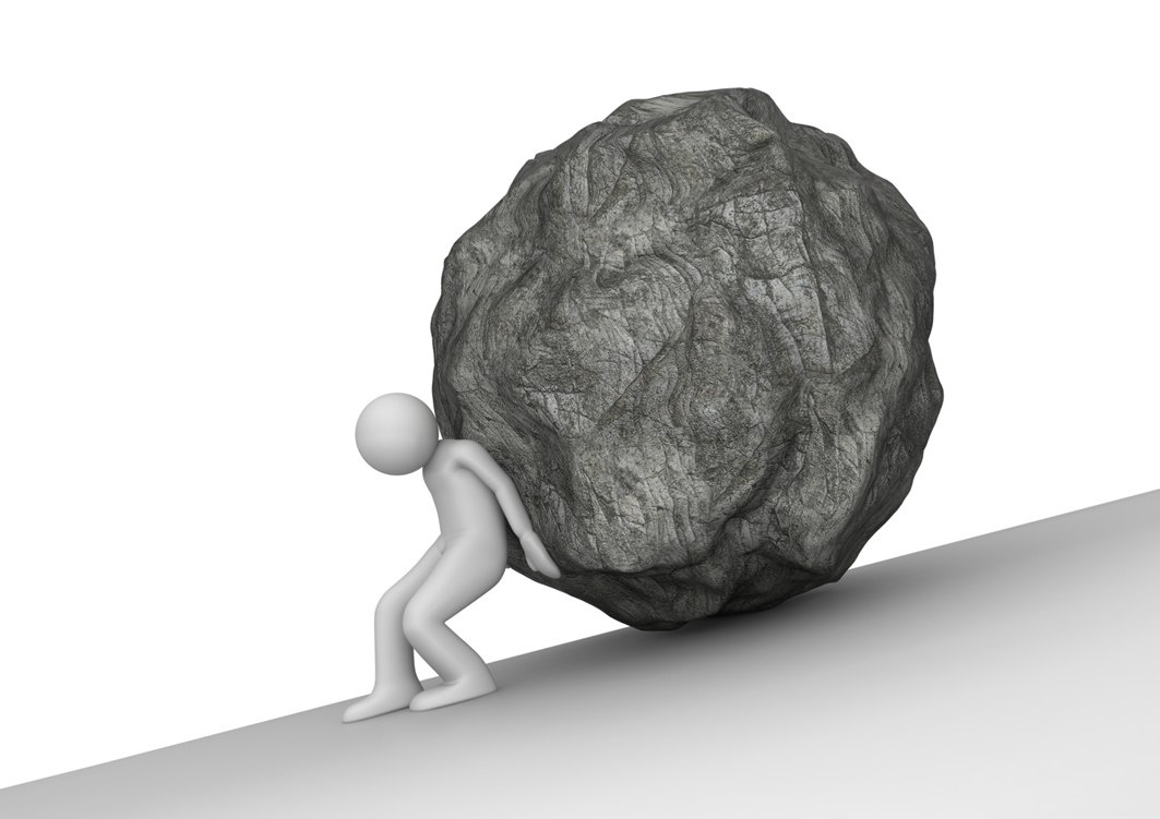 Valores: Valor del mes de noviembre: Esfuerzo