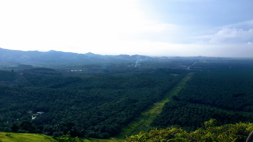 Hiking & Gardening: Bukit Botak , Puncak Alam