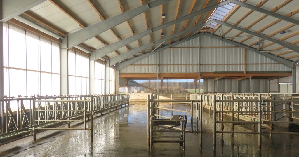 Benjamins Kuhblog: 100.000er Serie - Palpation Rail