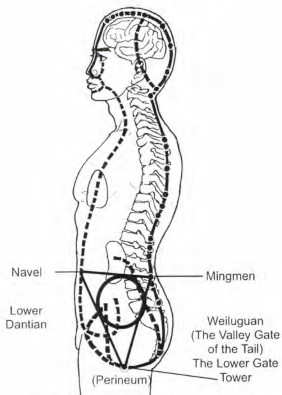 Way of Chi: The Lower Dan Tien | Manipura Chakra