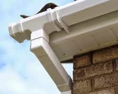 escritas e falares da nossa língua: algeroz (Pt. e Br.)