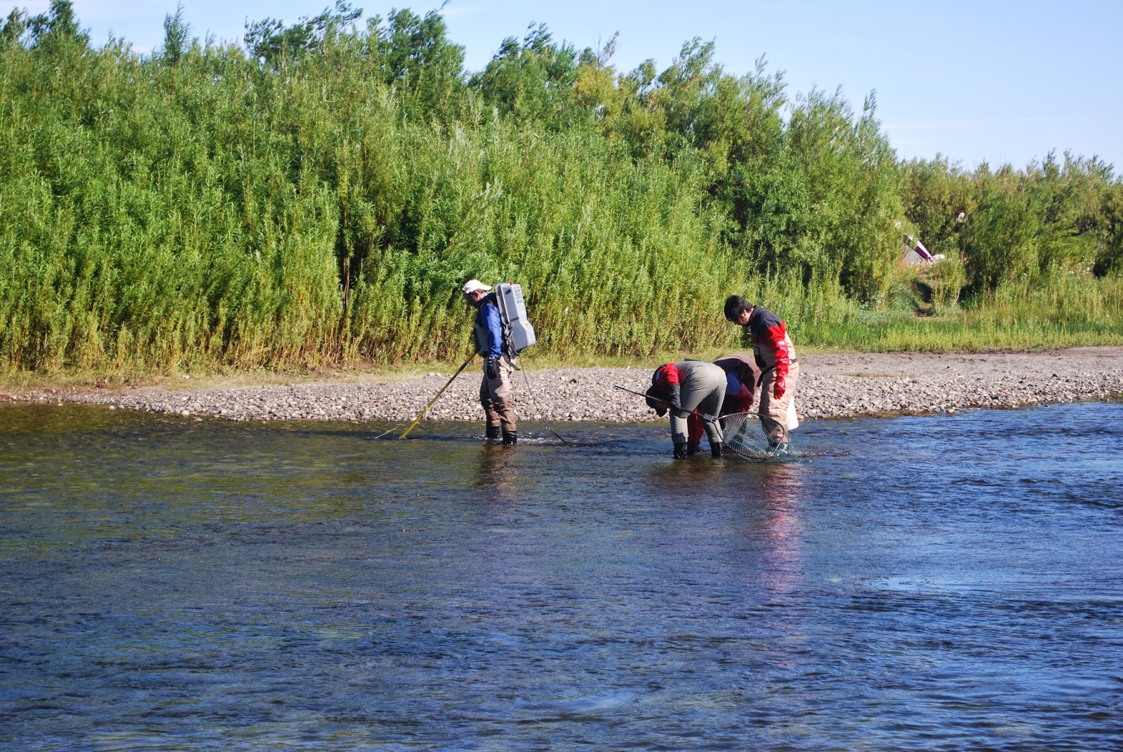 Acuicultura y pesca continental en Argentina: De cómo el viajar al mar ...