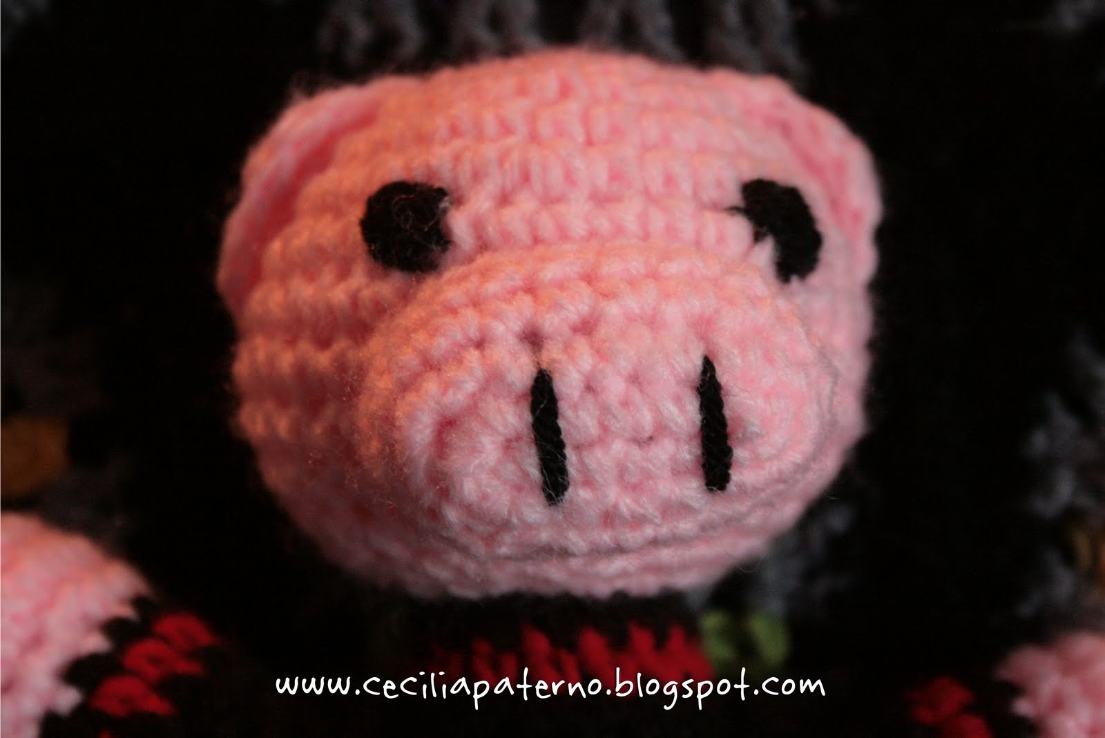 C! : Chancho rosa con remera de Los Ramones!