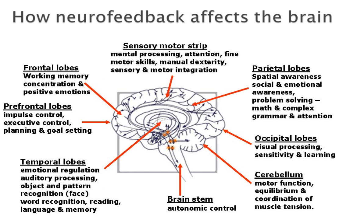 Regarding Emma: Neurofeedback Therapy For Developmental Disorders