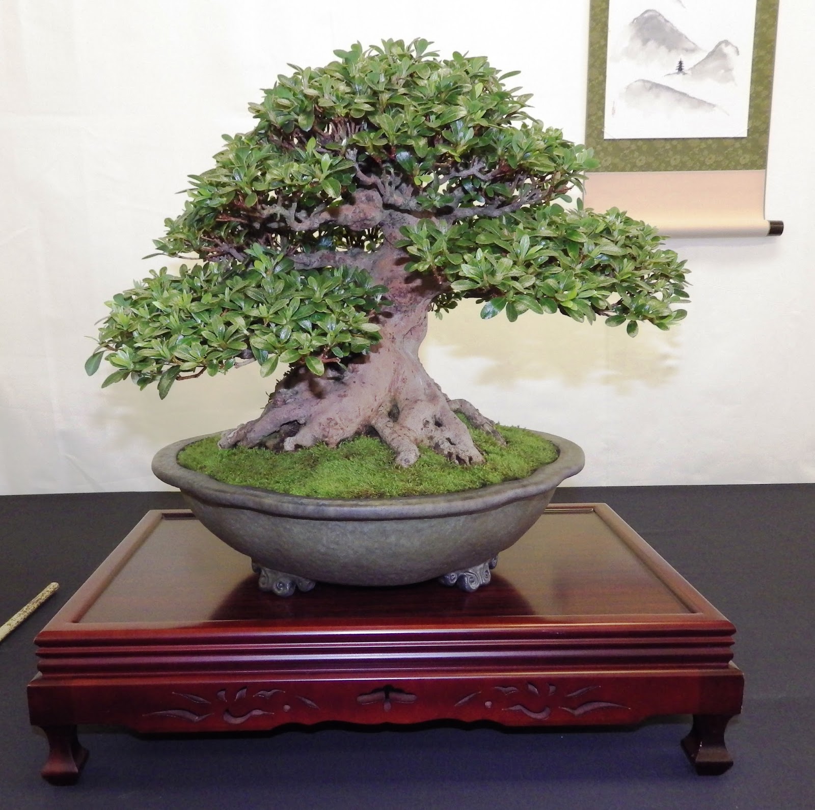 Bespoke Bonsai Stands