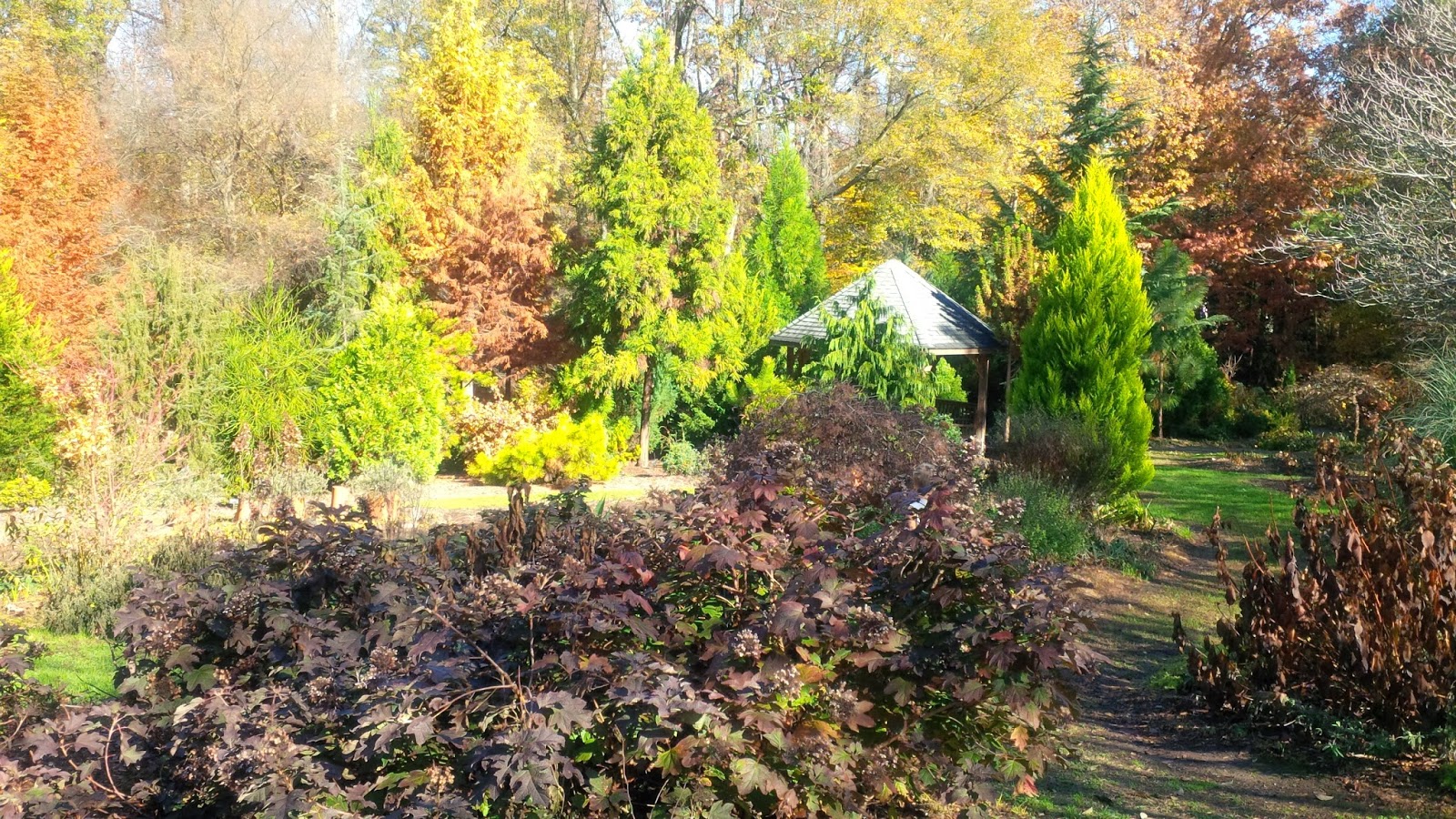 Life as a Homeschool Mom: A Beautiful Day to Walk in Nature: Hatcher ...