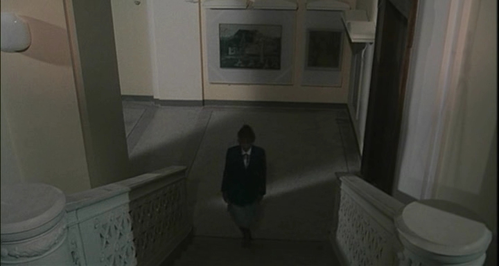 Todo El Terror Del Mundo: Aenigma ( 1987)