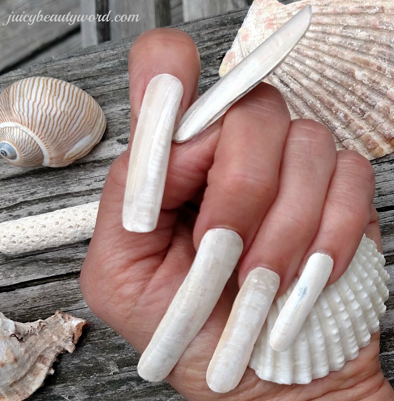 SEA SHELL NAILS