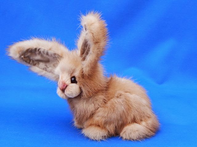 Designed By Kathy Myers: Custom Twin Bunnies