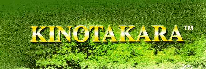 Εκδόσεις Εισέλιξη: Kinotakara: Τα Επιθέματα Αποτοξίνωσης