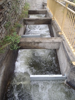 Marion au Canada: Tabarnouche y'a d'la brume!