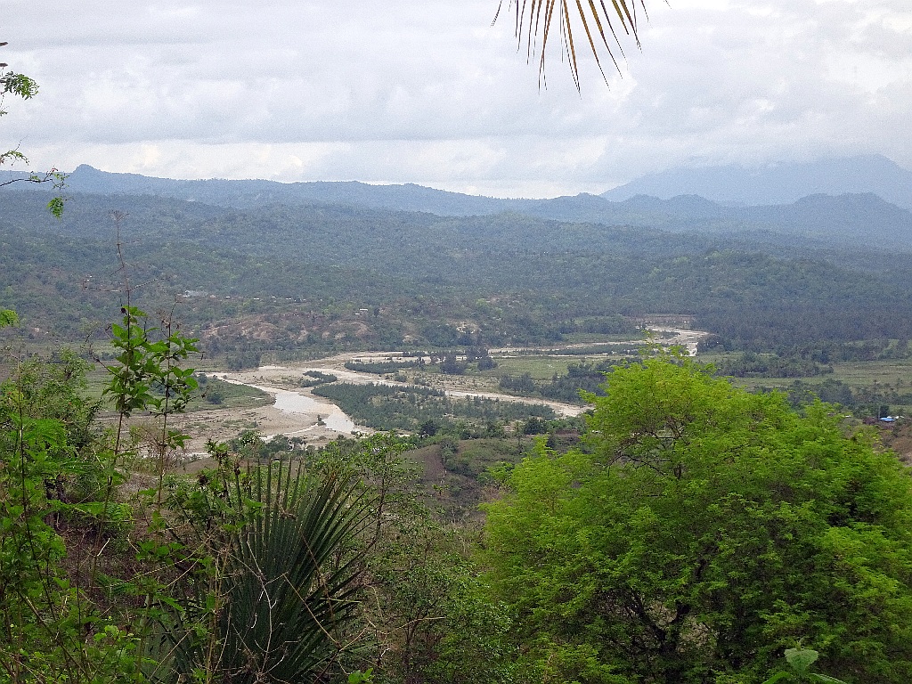 O Livro das Contradisoens