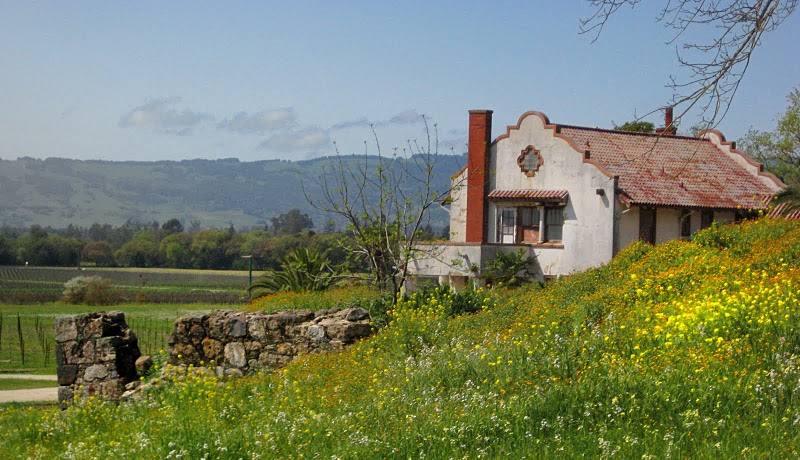Rhône Around the World: Scribe Winery 2004 Atlas Peak, Napa Valley Syrah