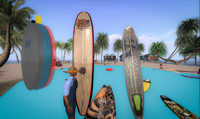 Surf Camp, Champs and the Surfing Community Keep Catching the Virtual ...