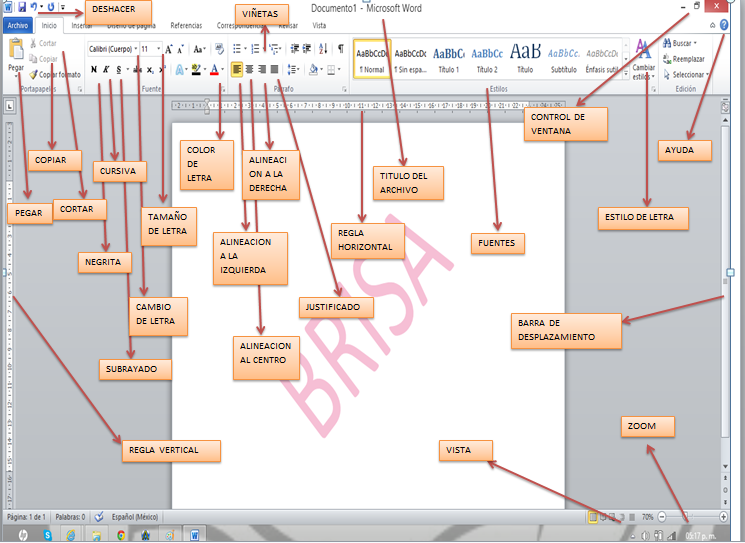 Formandome como Docente: Partes de Word