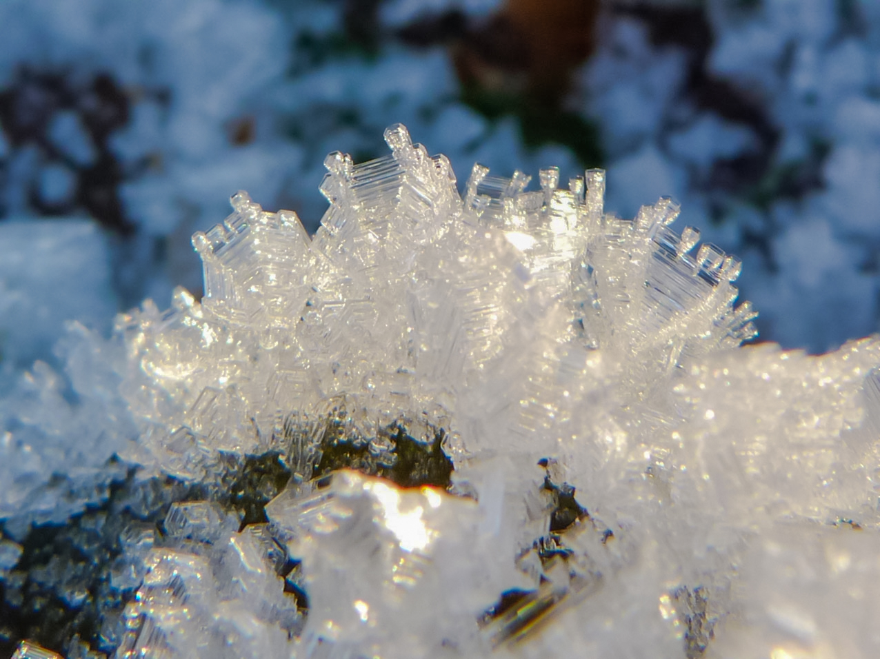 Frosts - Magnifying The Unseen |Blissful Solitary Wanderings