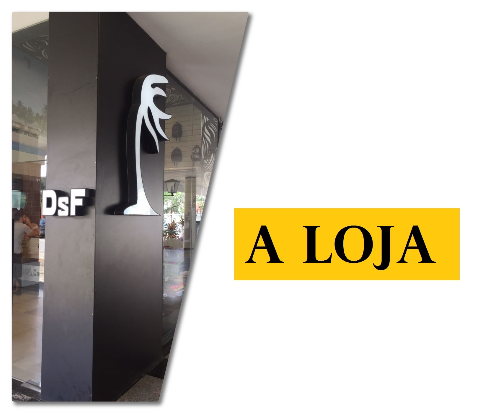 Blog LK: LK Stores: Loja DsF Company