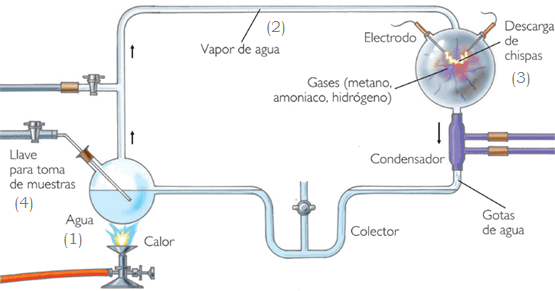 Tareas para el mundo contemporáneo: T2E3 → La teoría de Oparin-Haldane ...