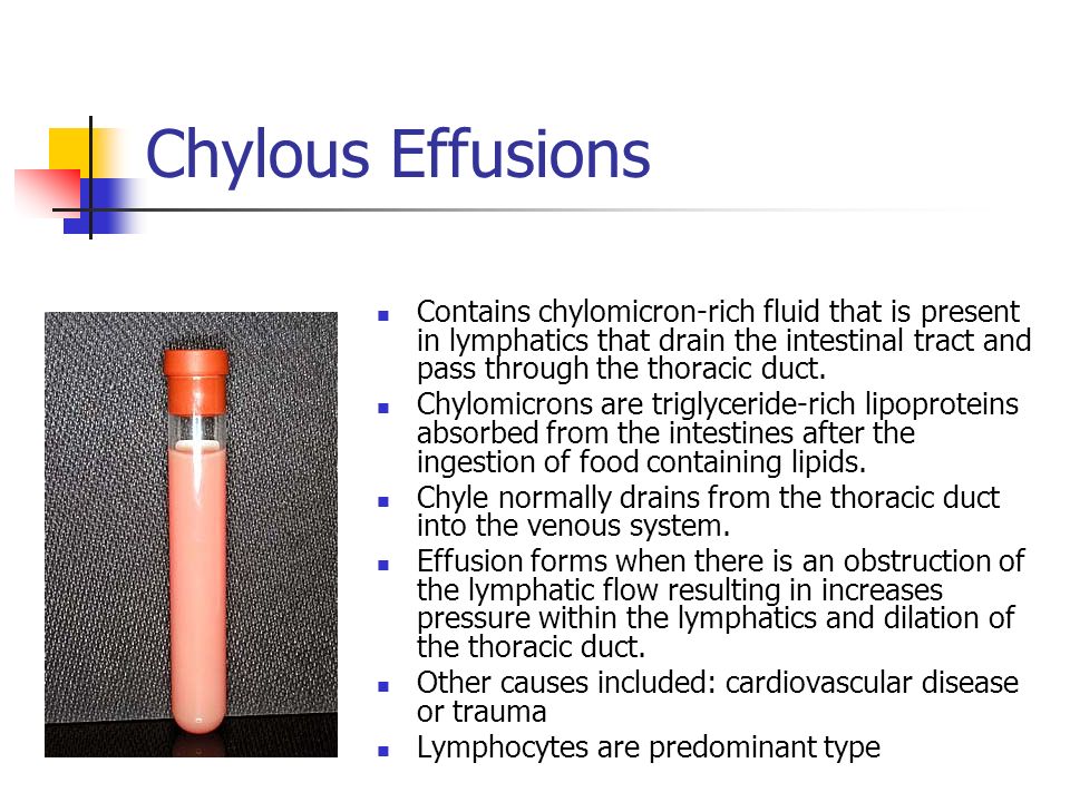 EXAMS AND ME : Chyle