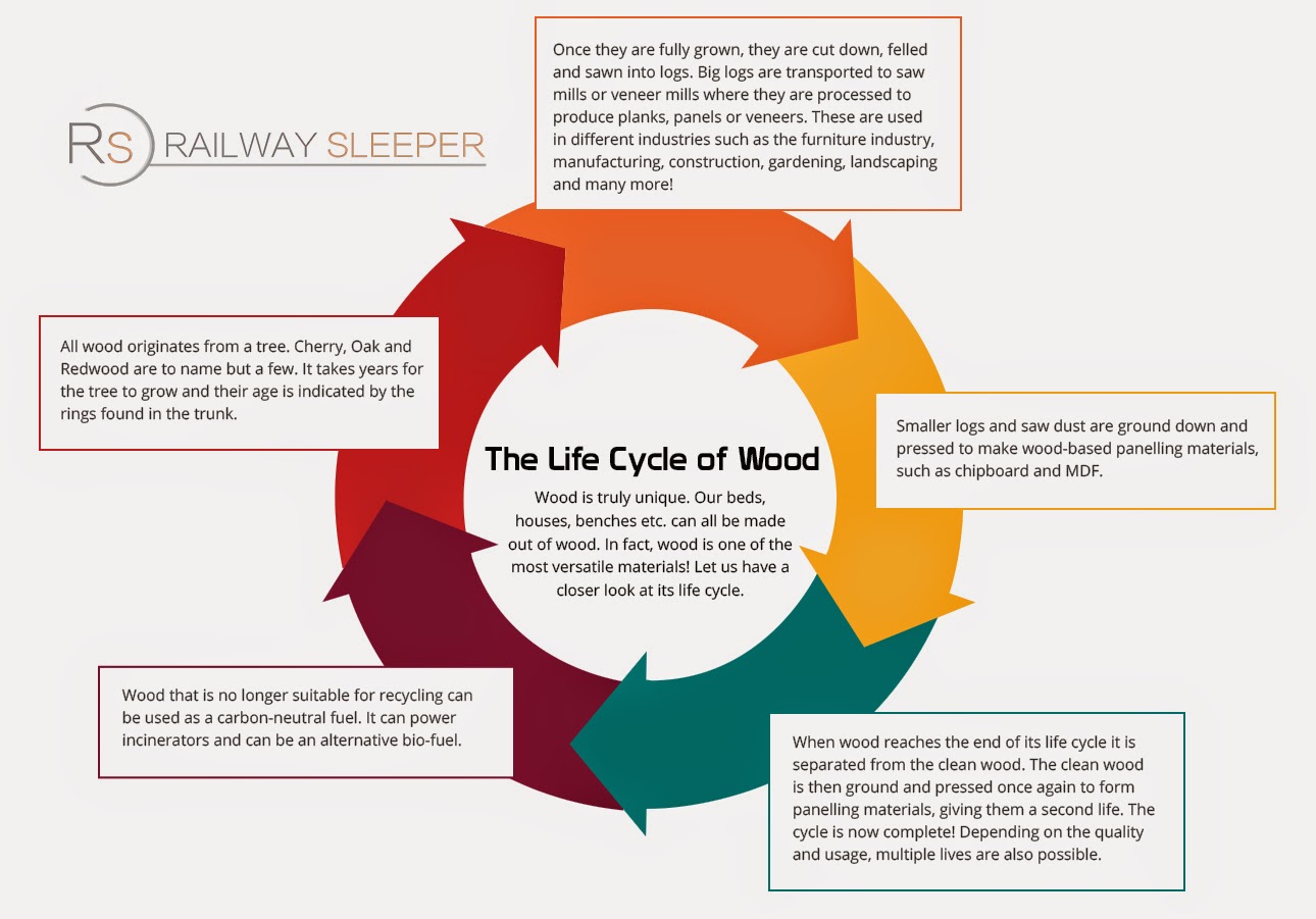 Top Railway Sleepers: The Life Cycle of Wood