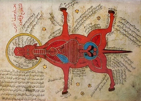 Nuhoni Latu Adi: Ad-Damiri, Dokter Hewan Terhebat dari Dunia Islam