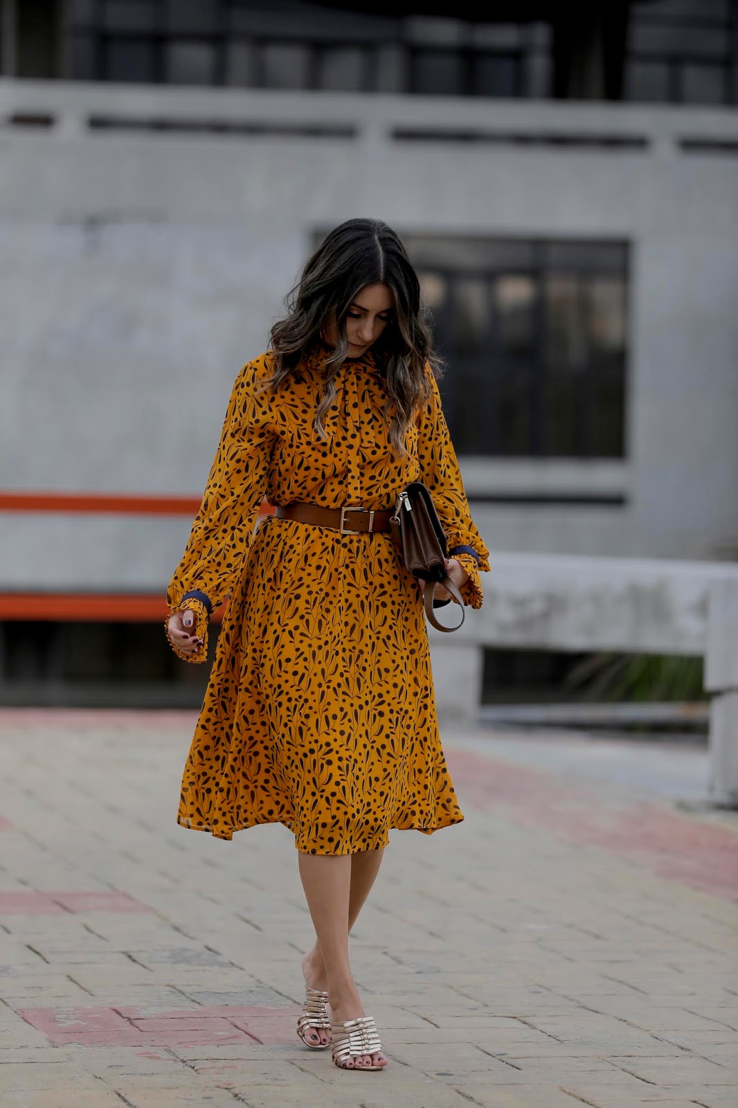 Fall Print Dress | Anyelina Guzman