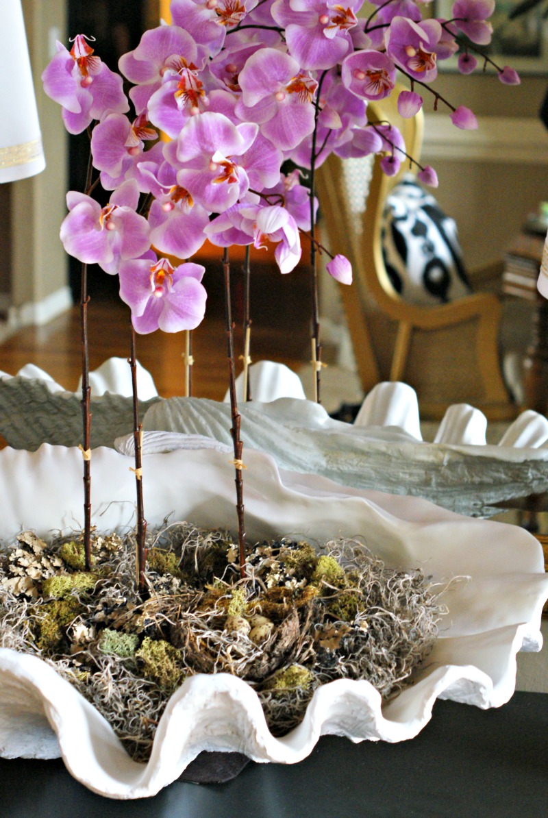 CLAM SHELL ORCHID ARRANGEMENT | Dimples and Tangles