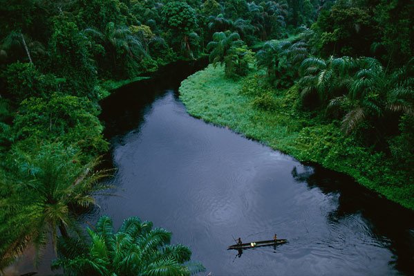 El Cubano: Un Fonds bleu pour protéger la forêt du Bassin du Congo