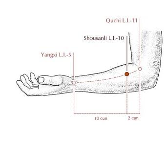 Acupuncture: LI - 10 (Large Intestine-10)