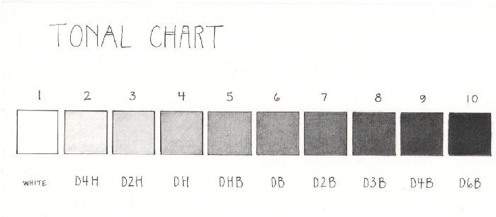 SBA Course, Assignment 1