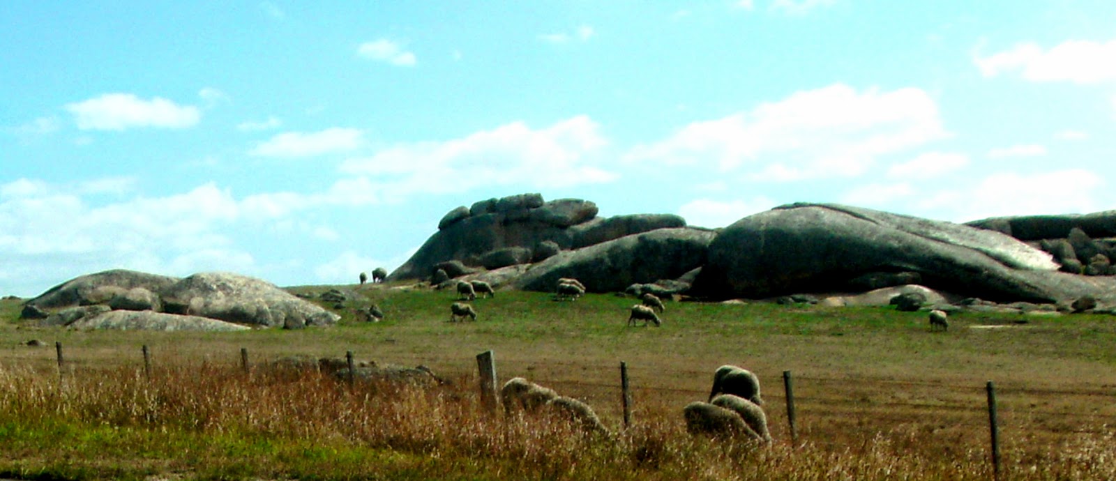 Geelong Visual Diary: Dog Rocks Batesford