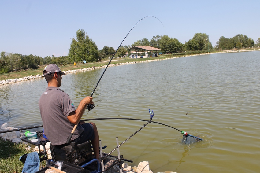 Introducirse en la Pesca al Feeder o con cebador